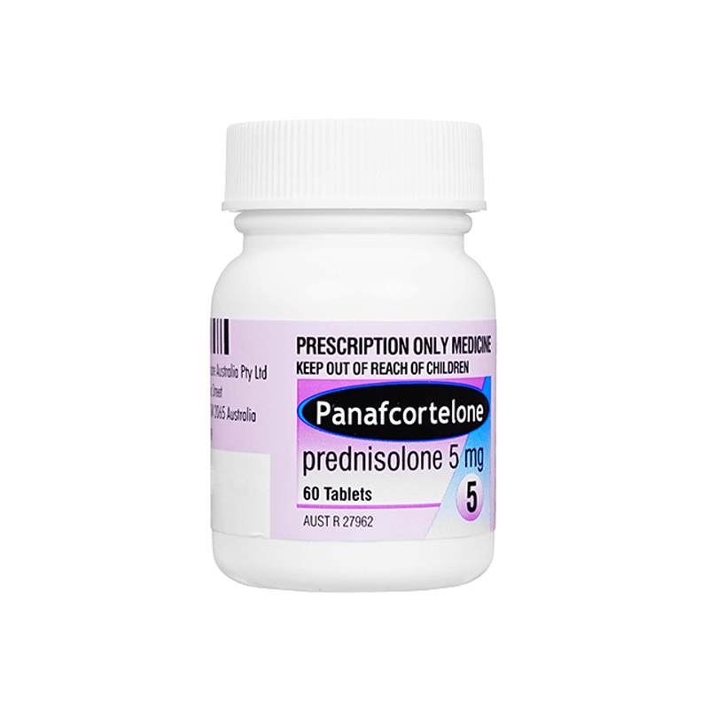 パナフコルテロン 5mg 2本 / Panafcortelone 5mg 2 bottles - ウェプロス